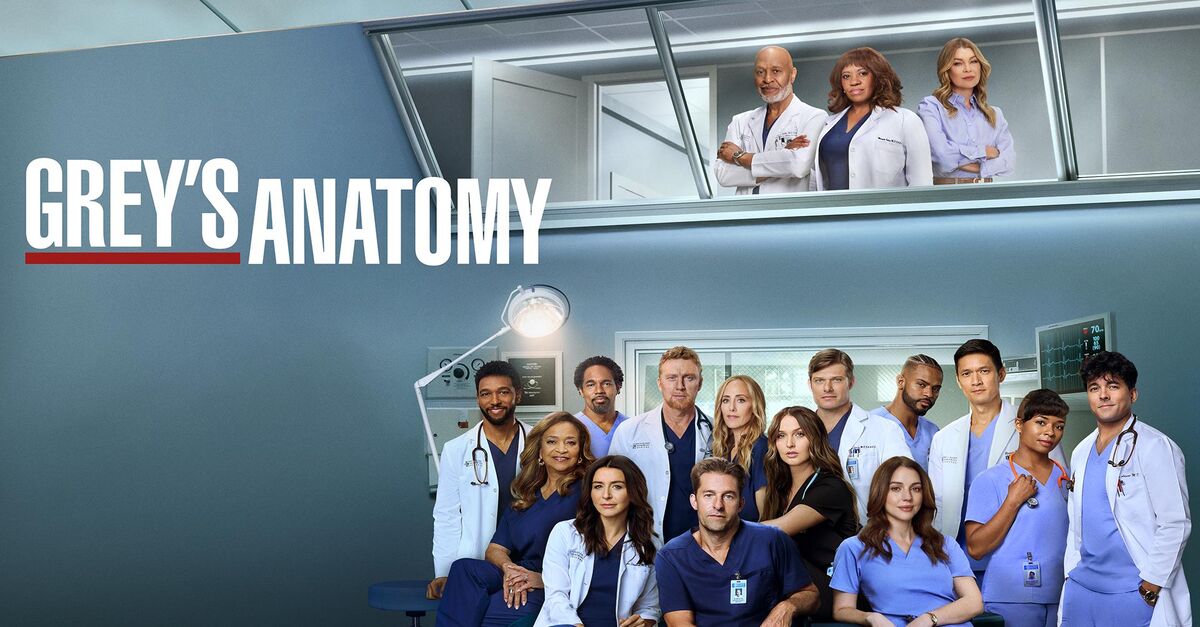About Grey's Anatomy TV Show Series