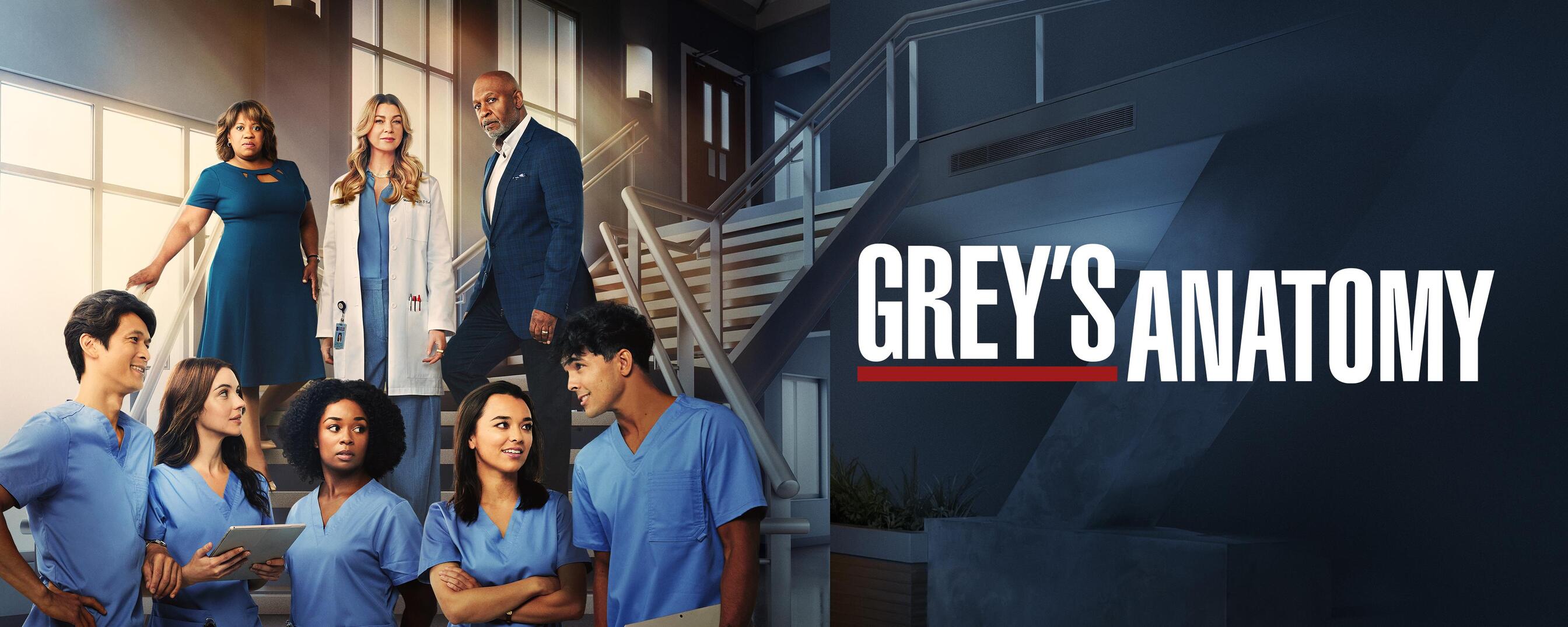 Ver Anatom a De Grey 19x02 Sub Espanol Online Serie De TV