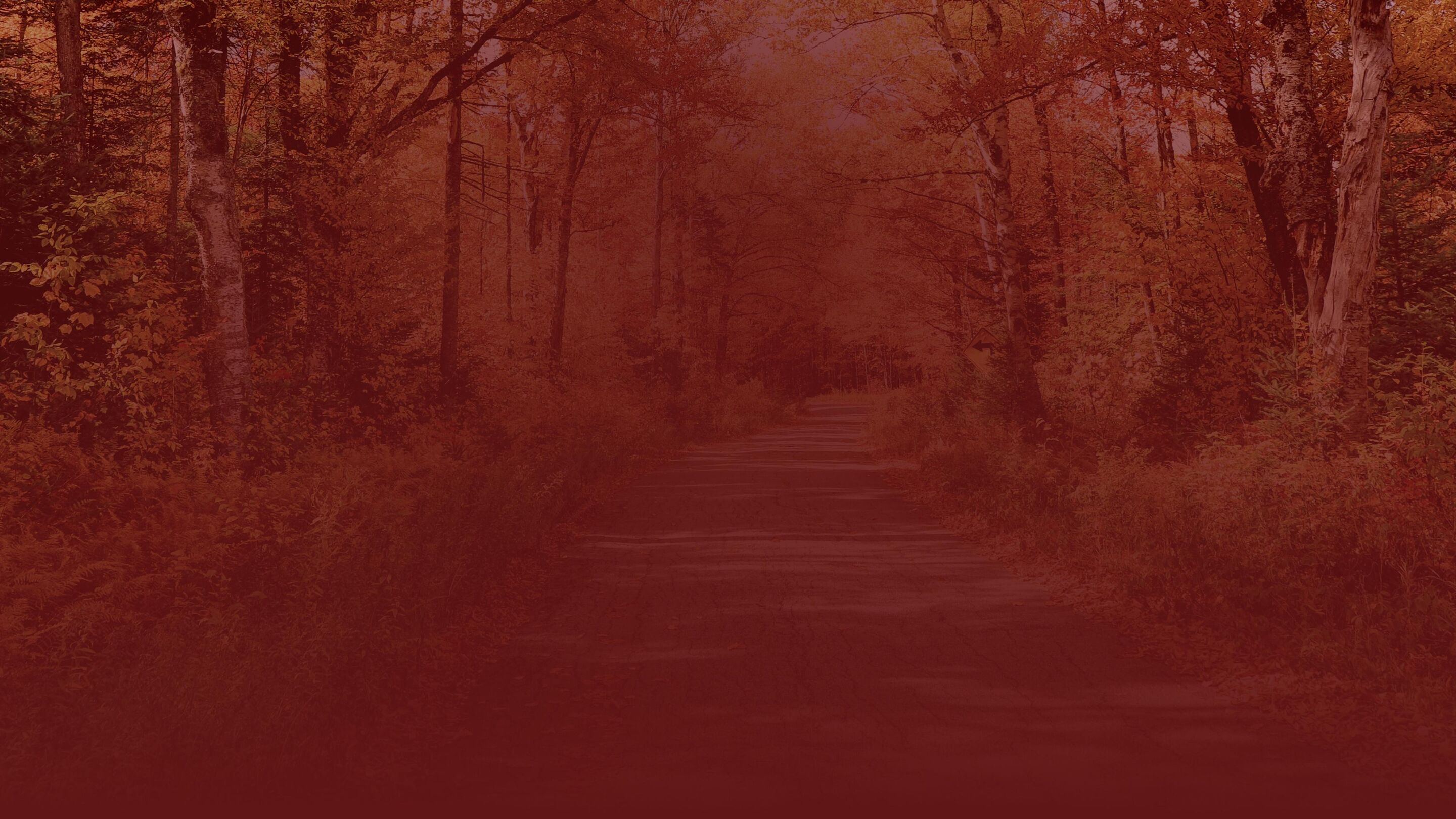 About October Road TV Show Series