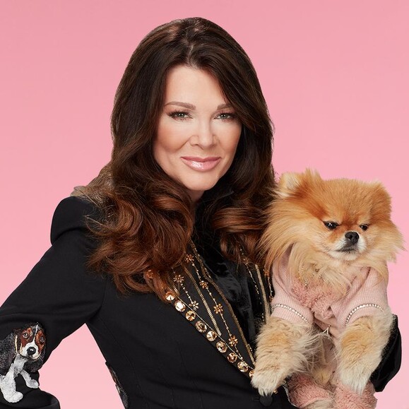 What Happened To Lisa Vanderpumps Dog Pink