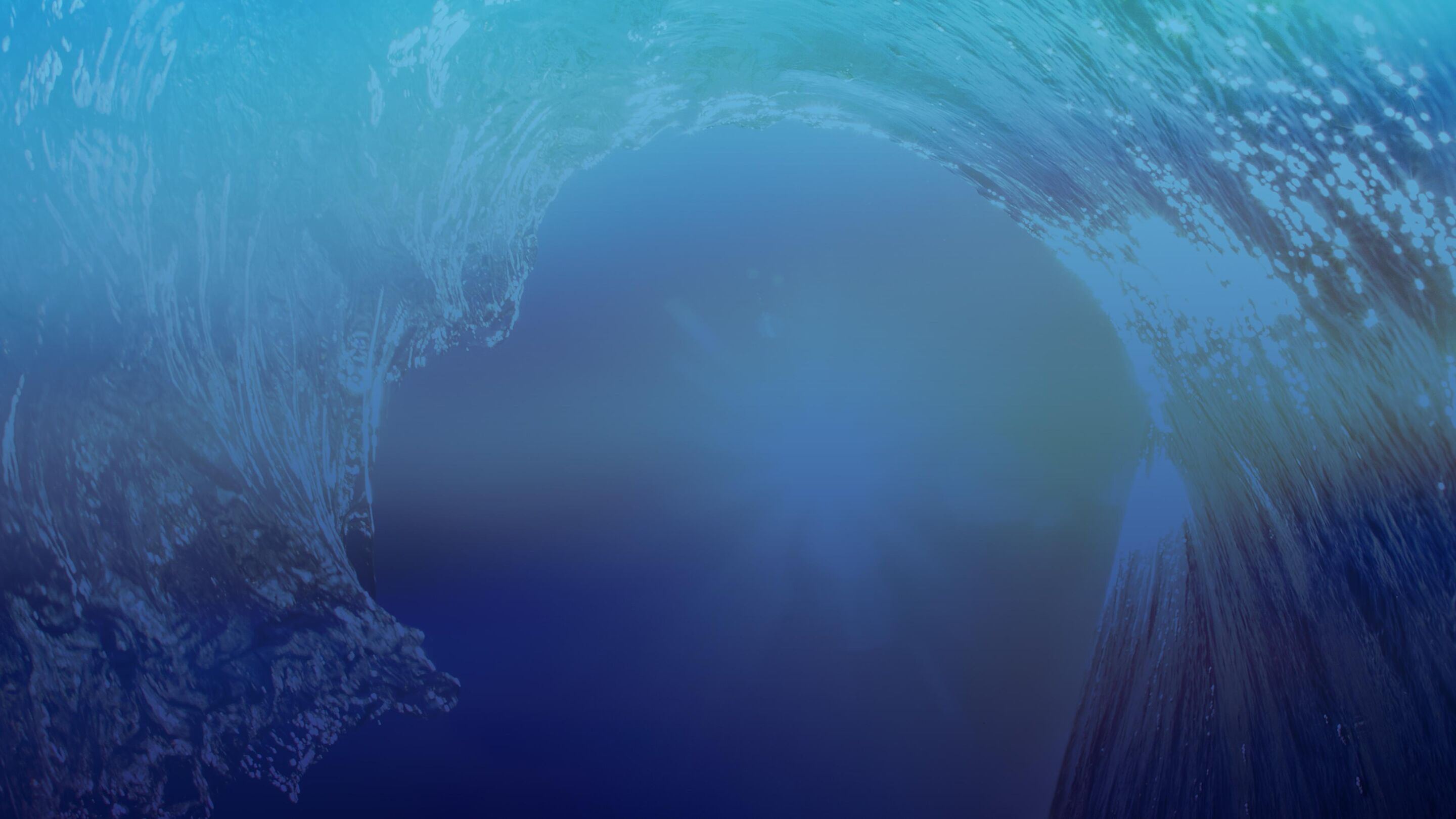 About Reef Break TV Show Series