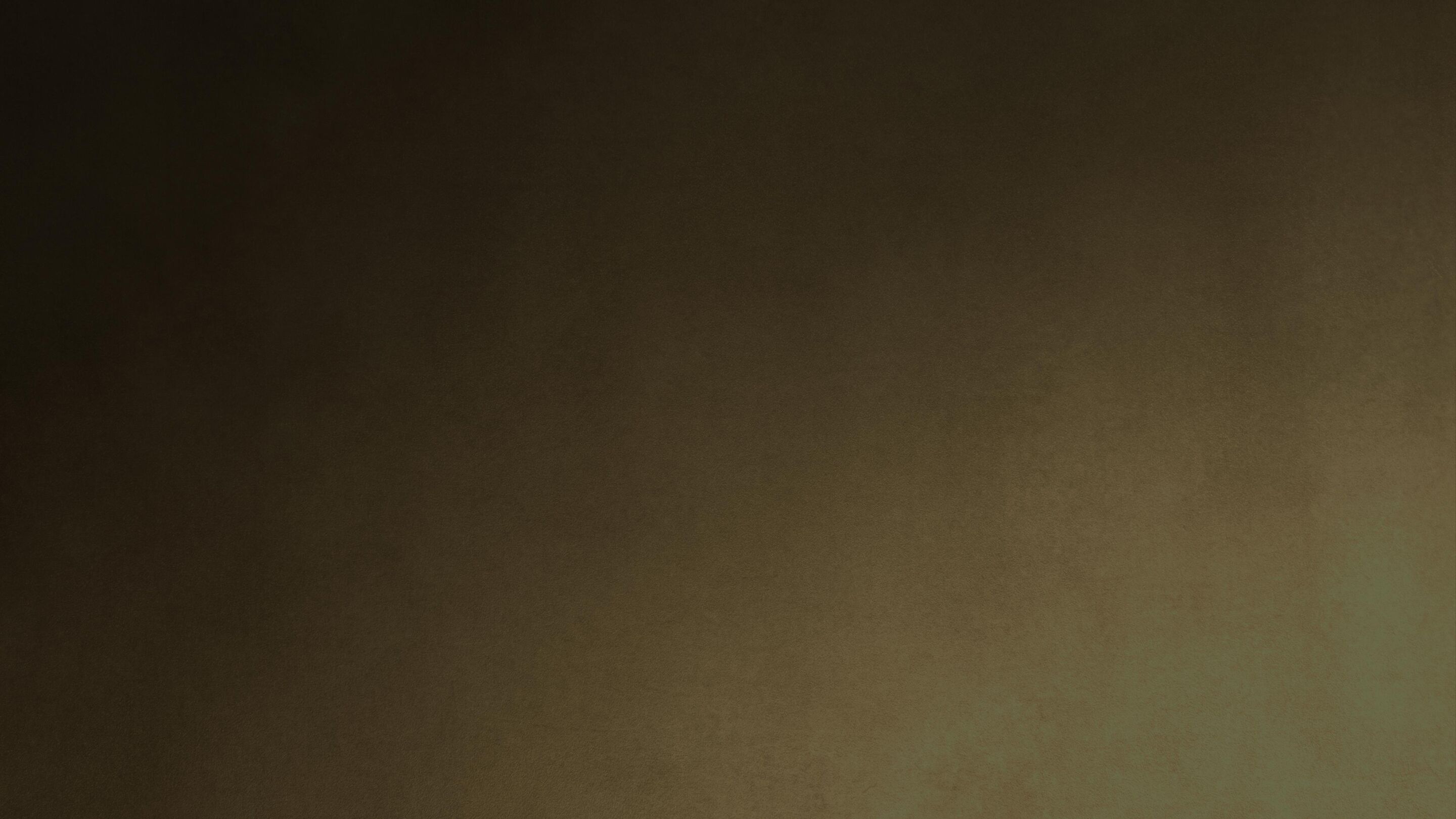 About The Golden Bachelor TV Show Series