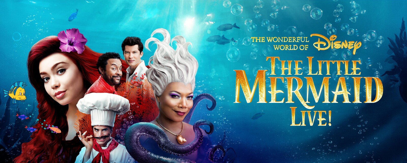 "The Little Mermaid Live!" Airs TUESDAY NOV 5 8|7c on ABC | The ...