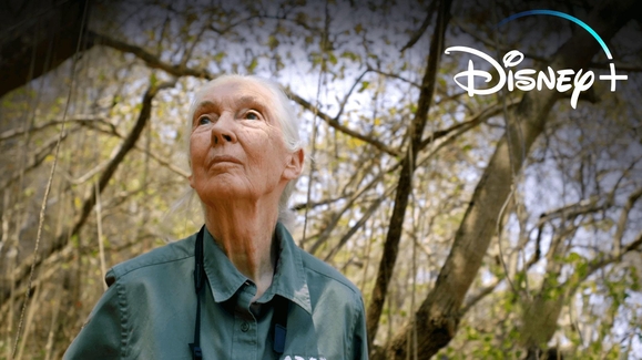 WATCH: Coming this April | Disney+ | freeform