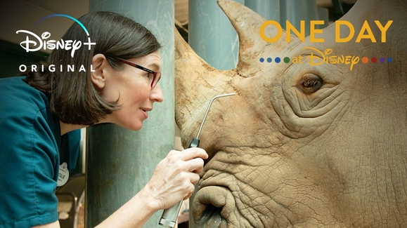 WATCH: One Day at Disney | Official Trailer | Disney+ | freeform