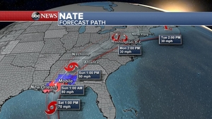 Watch World News Tonight with David Muir TV Show - ABC.com