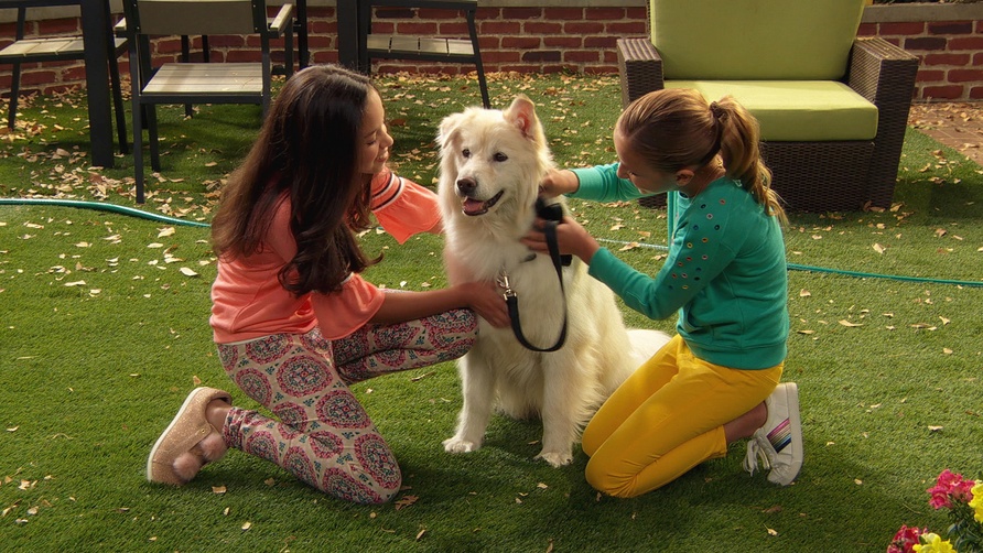 Disney Channel, Disney Junior & Disney XD TV, Shows & Episodes | DisneyNOW