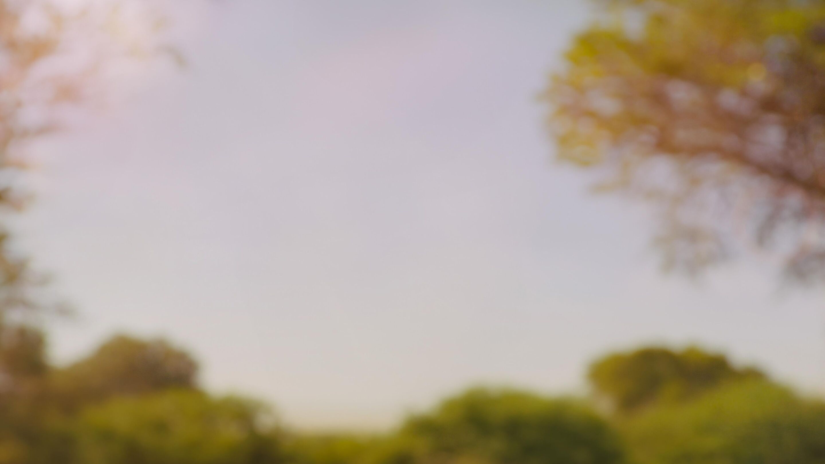 Watch Animal Genius TV Show - Streaming Online | Nat Geo TV