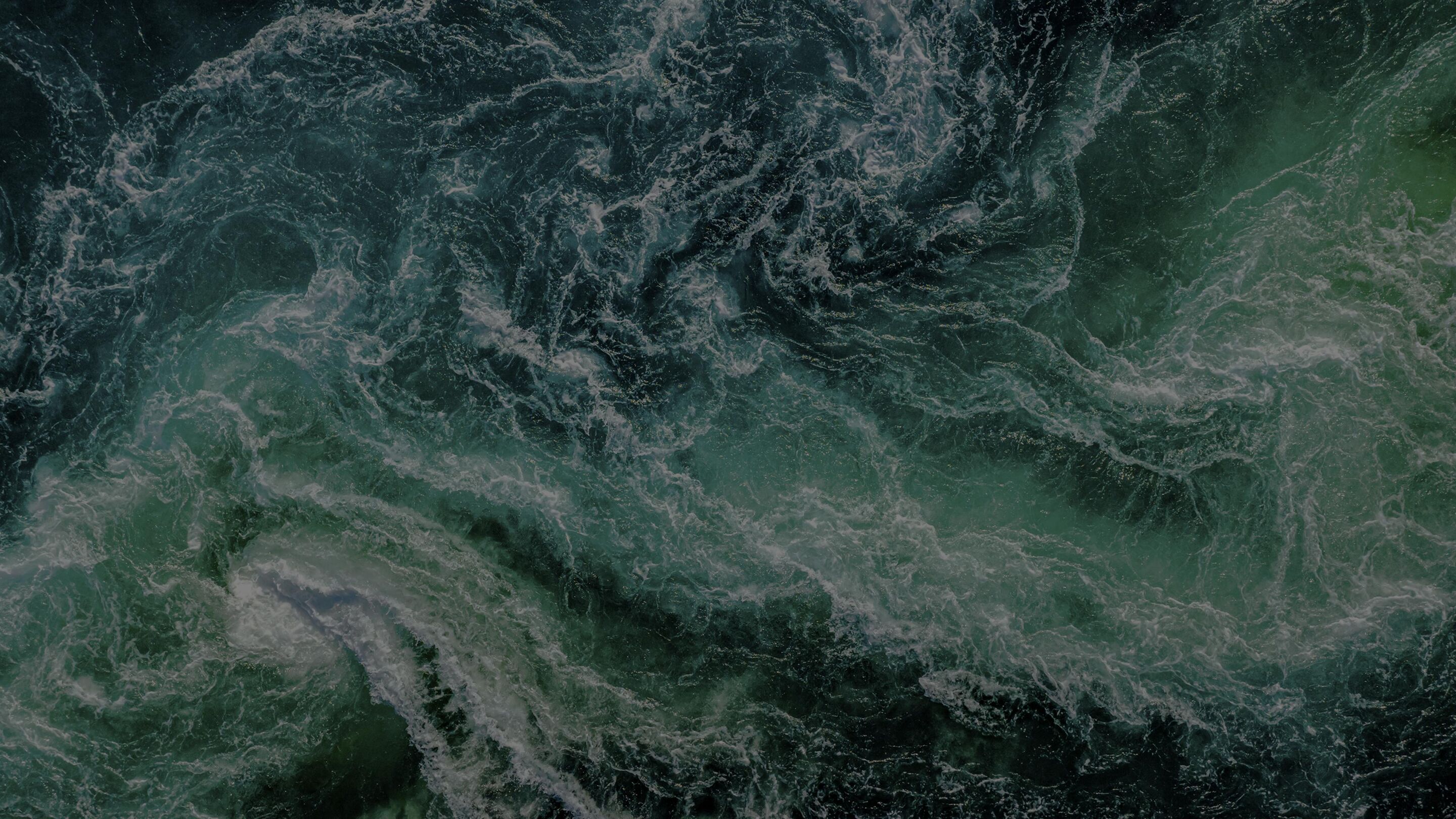 Watch Nature Clips TV Show - Streaming Online | Nat Geo TV