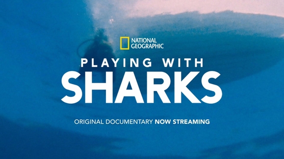 WATCH: Playing With Sharks Trailer | Playing With Sharks