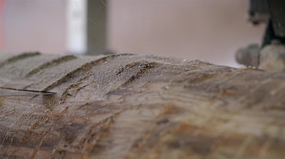 Watch Port Protection Alaska Season 7 Episode 4 Tree of Death Online