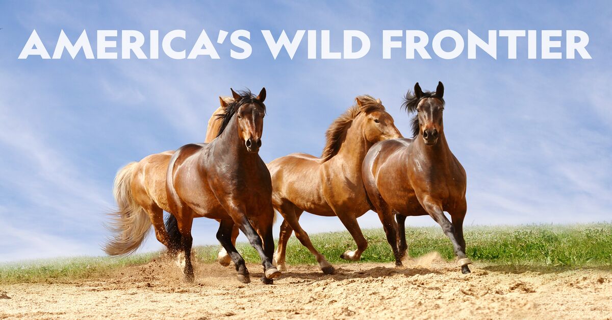 Watch America's Wild Frontier TV Show - Streaming Online | Nat Geo TV