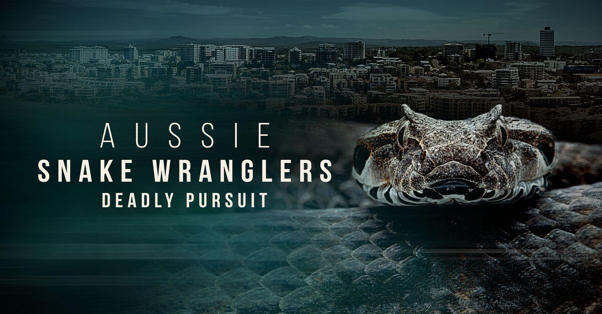 Watch Aussie Snake Wranglers: Deadly Pursuit TV Show - Streaming Online ...