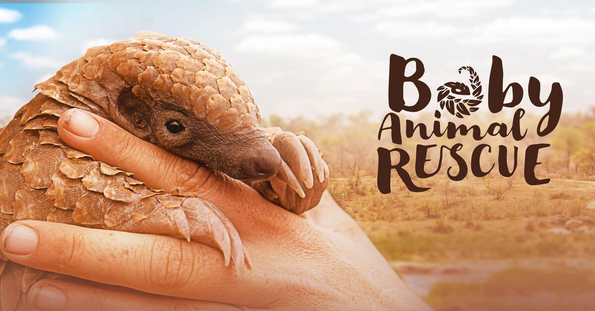 Watch Baby Animal Rescue TV Show - Streaming Online | Nat Geo TV