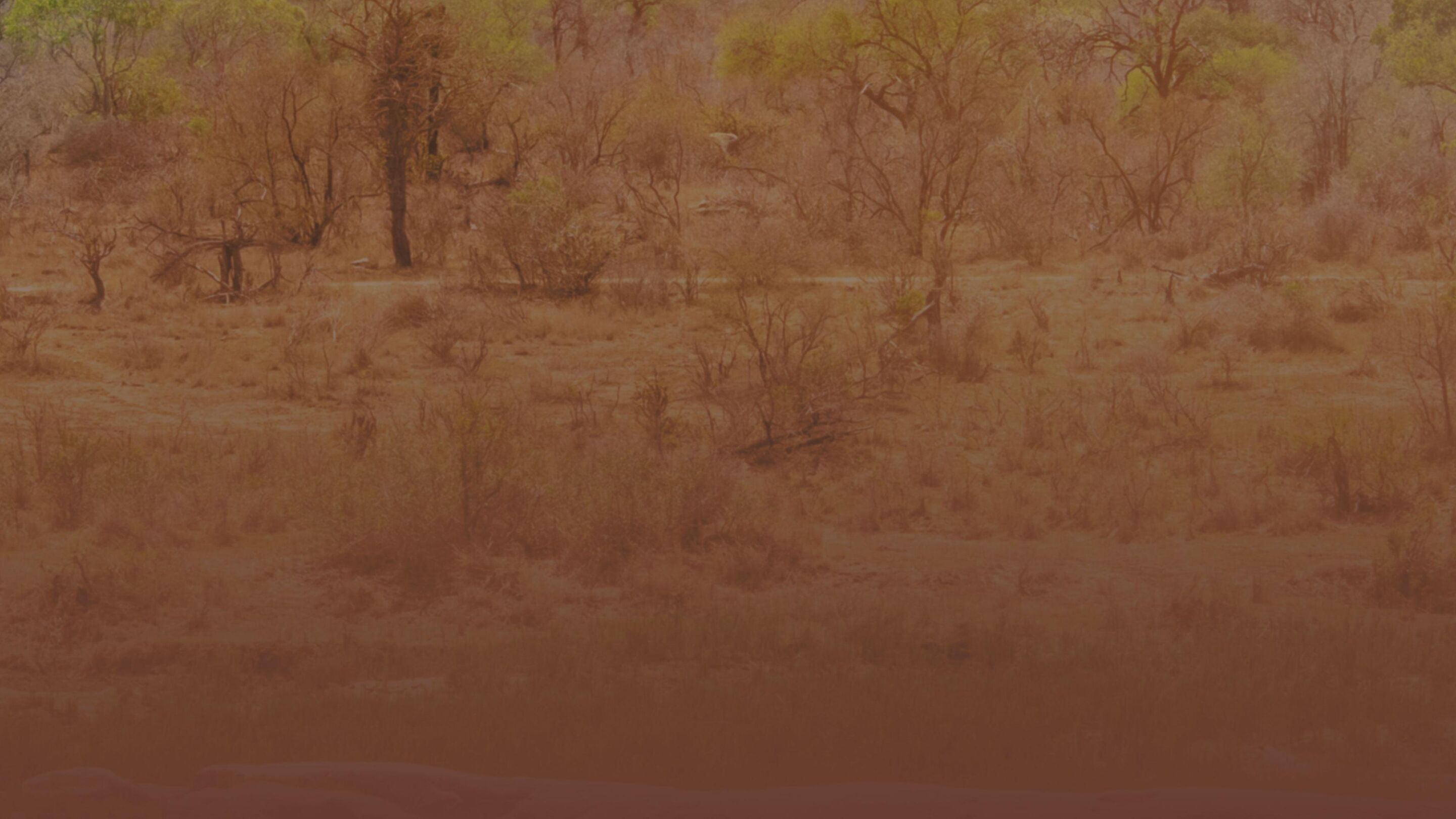 Watch Baby Animal Rescue TV Show - Streaming Online | Nat Geo TV