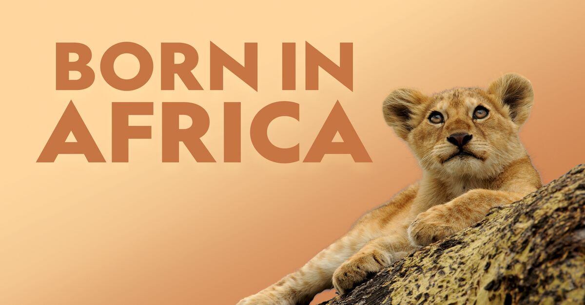 Watch Born in Africa TV Show - Streaming Online | Nat Geo TV