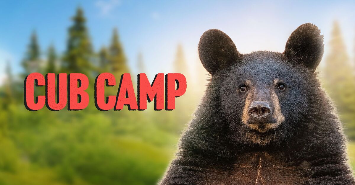 Watch Cub Camp TV Show - Streaming Online | Nat Geo TV