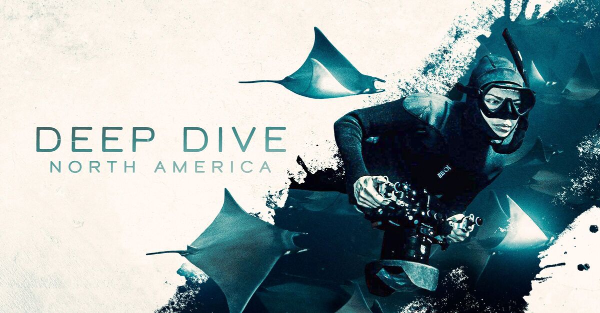 Watch Deep Dive North America TV Show - Streaming Online | Nat Geo TV