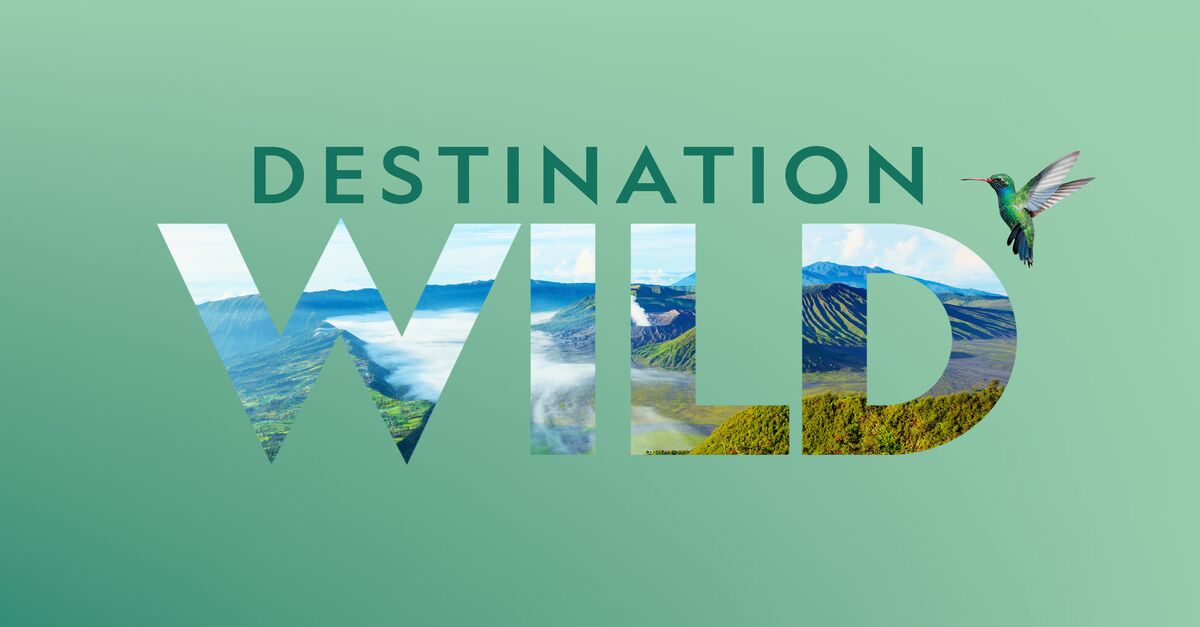Watch Destination WILD TV Show - Streaming Online | Nat Geo TV