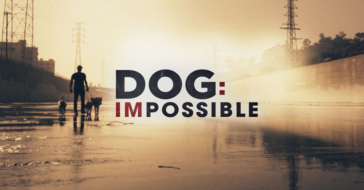 About Dog: Impossible TV Show Series