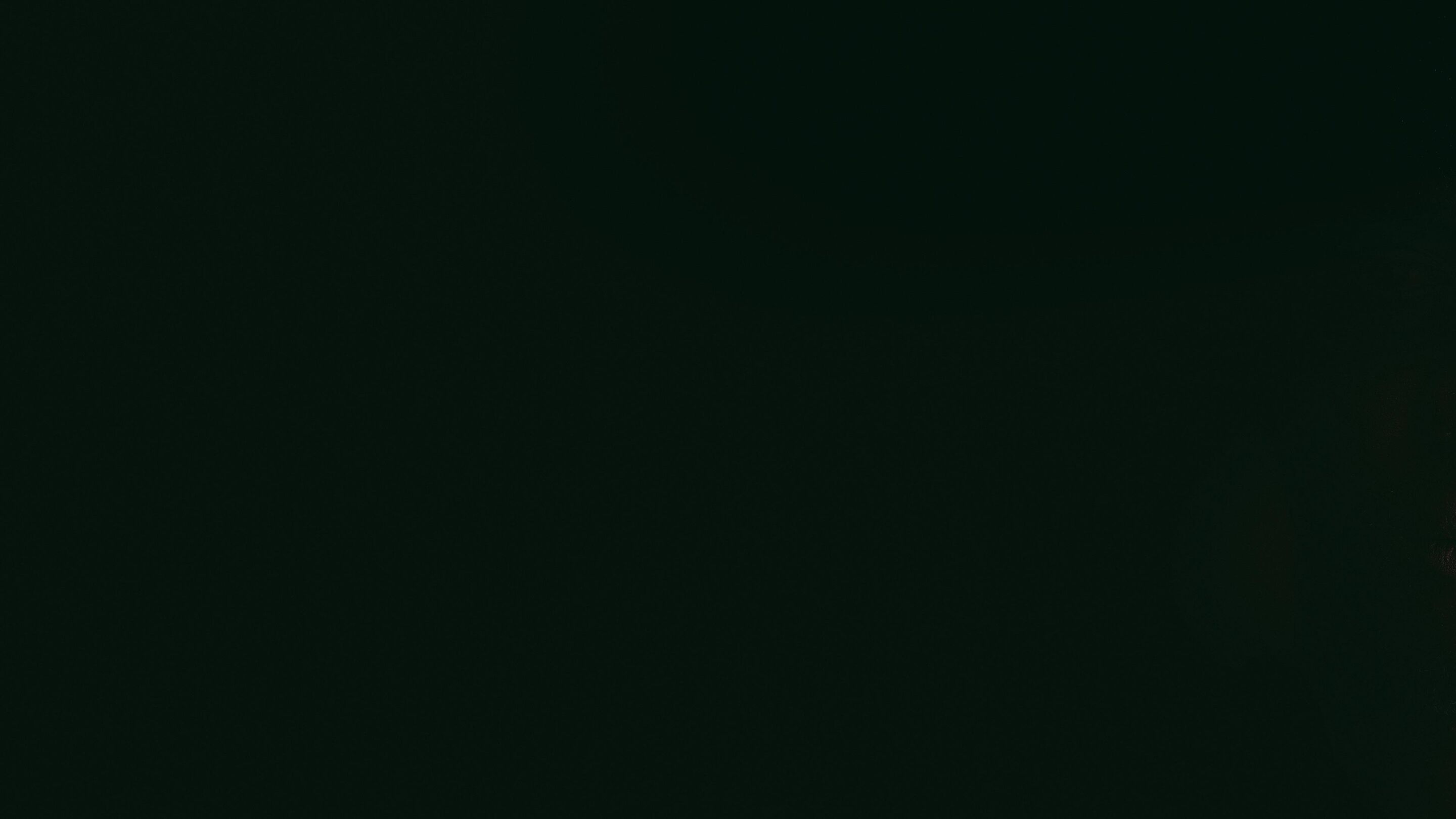 Watch Erased: WW2's Heroes of Color TV Show - Streaming Online | Nat Geo TV