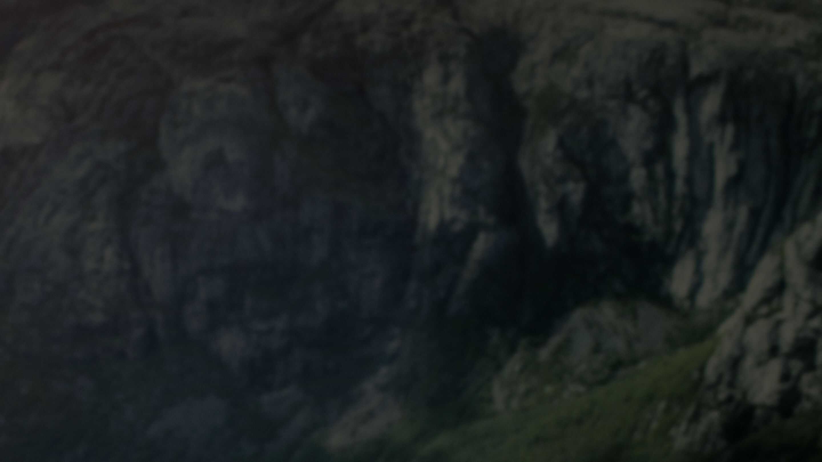 Watch FLY TV Show - Streaming Online | Nat Geo TV