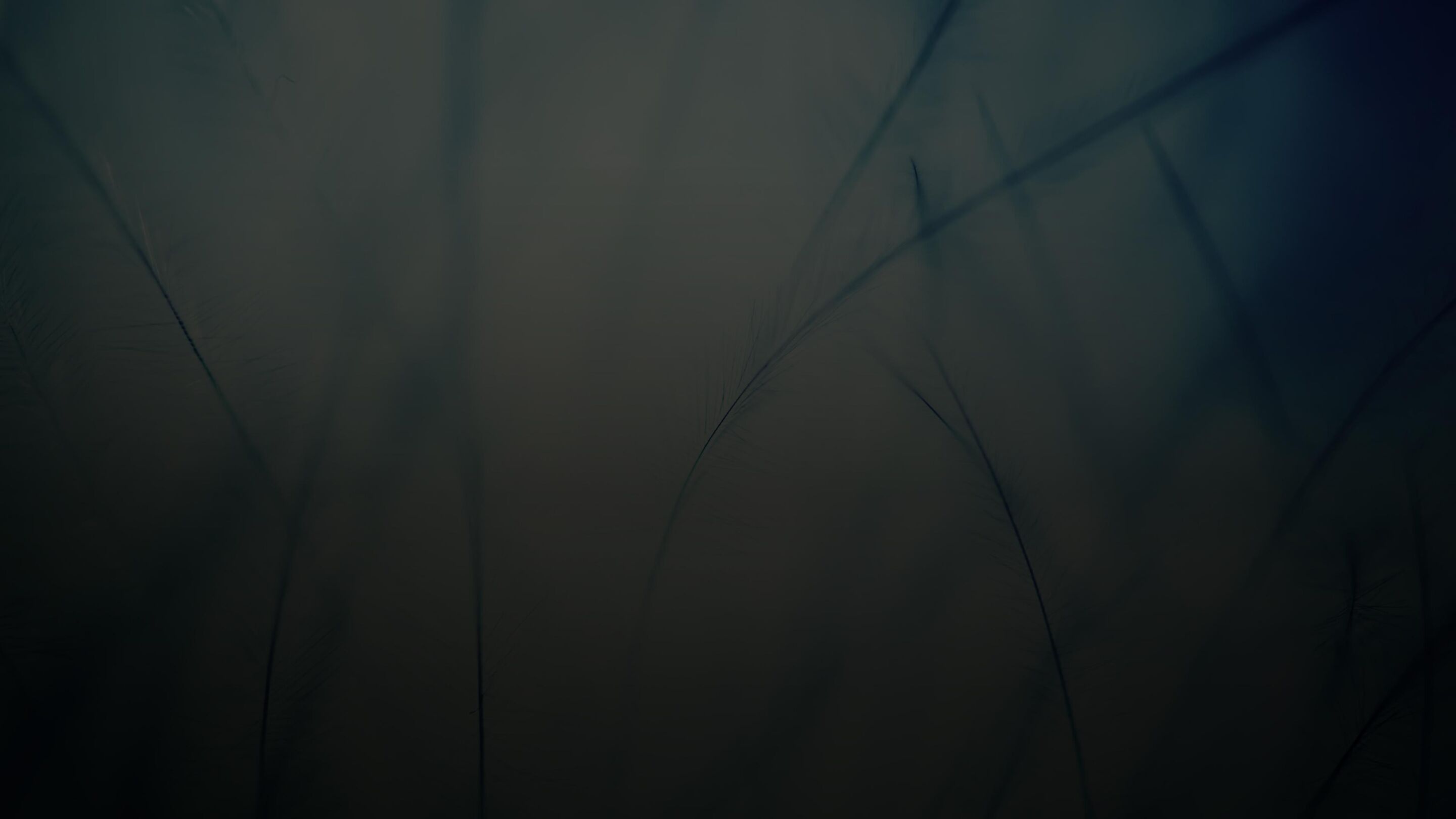 About Hostile Planet TV Show Series