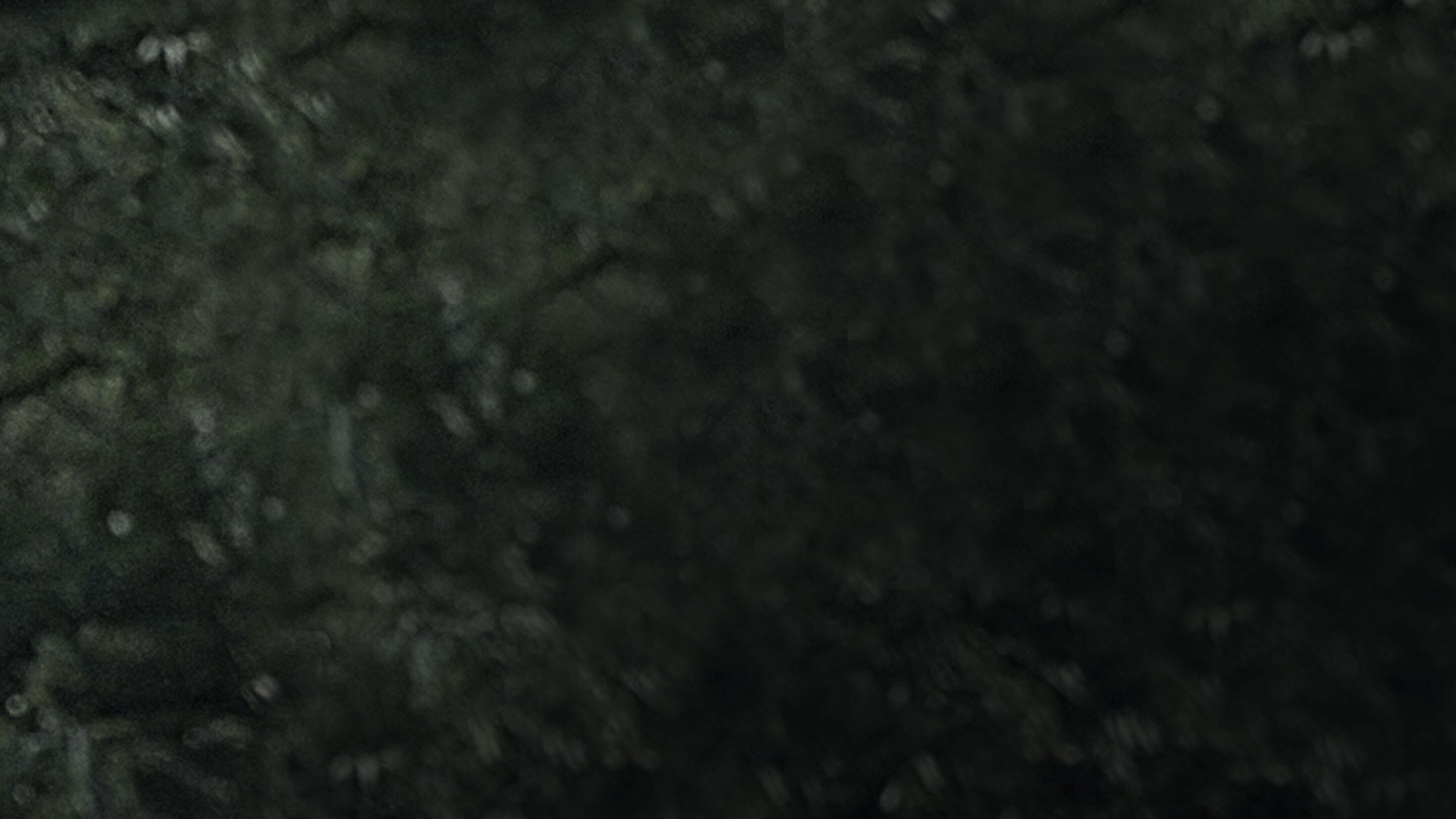 Watch Inside North Korea TV Show - Streaming Online | Nat Geo TV