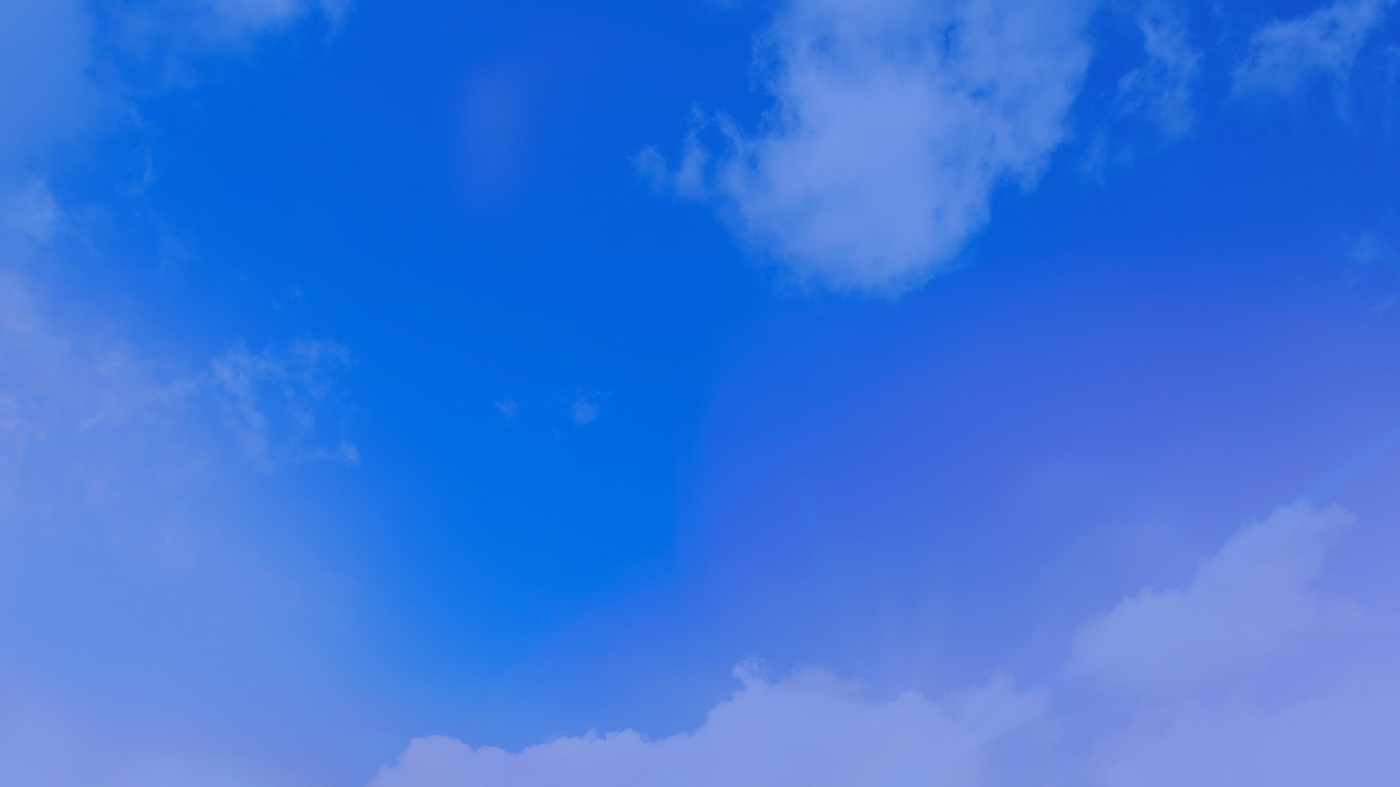 Watch Inside the Enchanted Forests TV Show - Streaming Online | Nat Geo TV