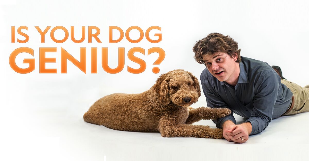 Watch Is Your Dog a Genius? TV Show - Streaming Online | Nat Geo TV