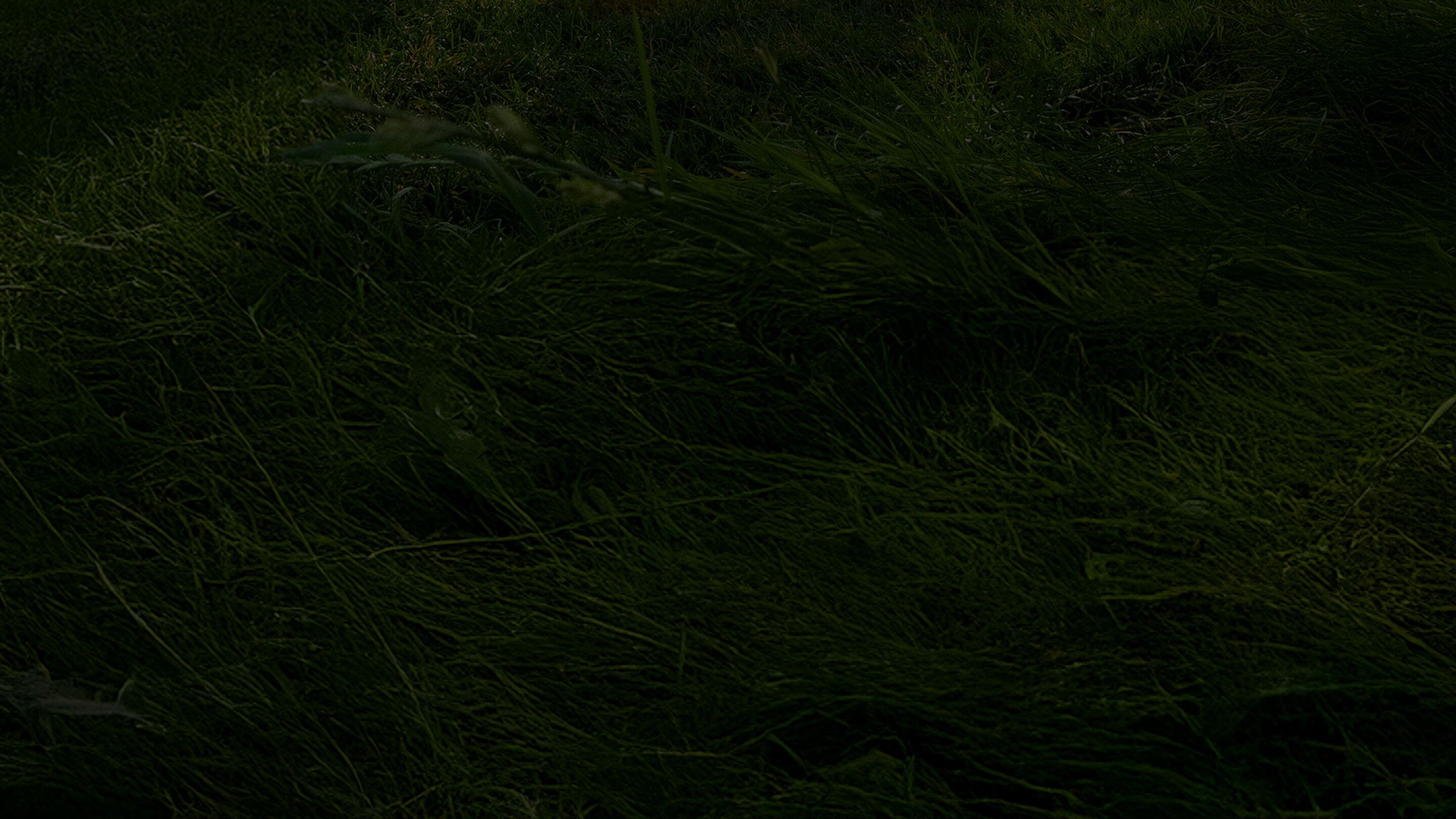 Watch Lost Treasures of Ancient Civilizations TV Show - Streaming ...