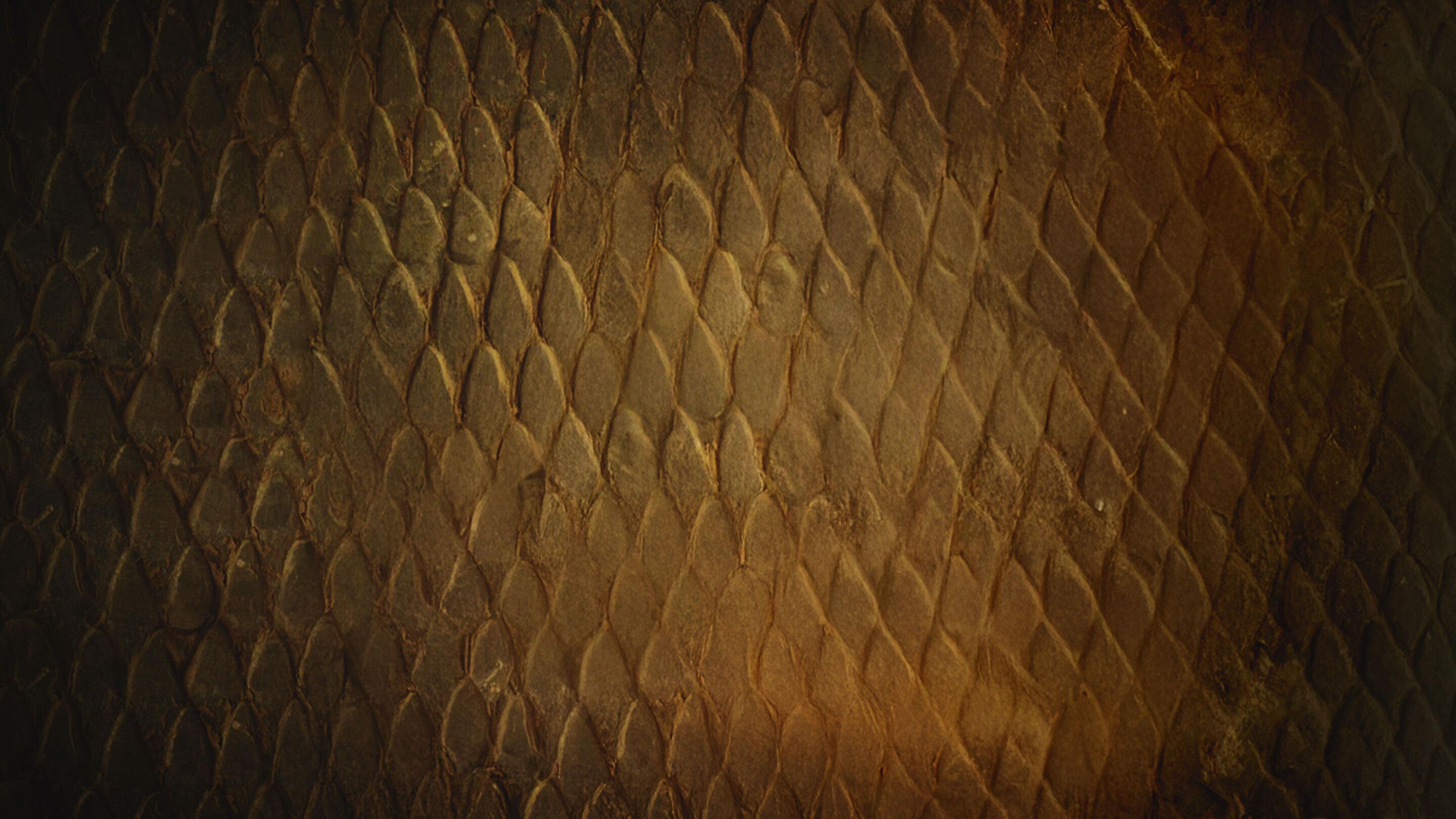 Watch Lost Treasures of the Bible TV Show - Streaming Online | Nat Geo TV