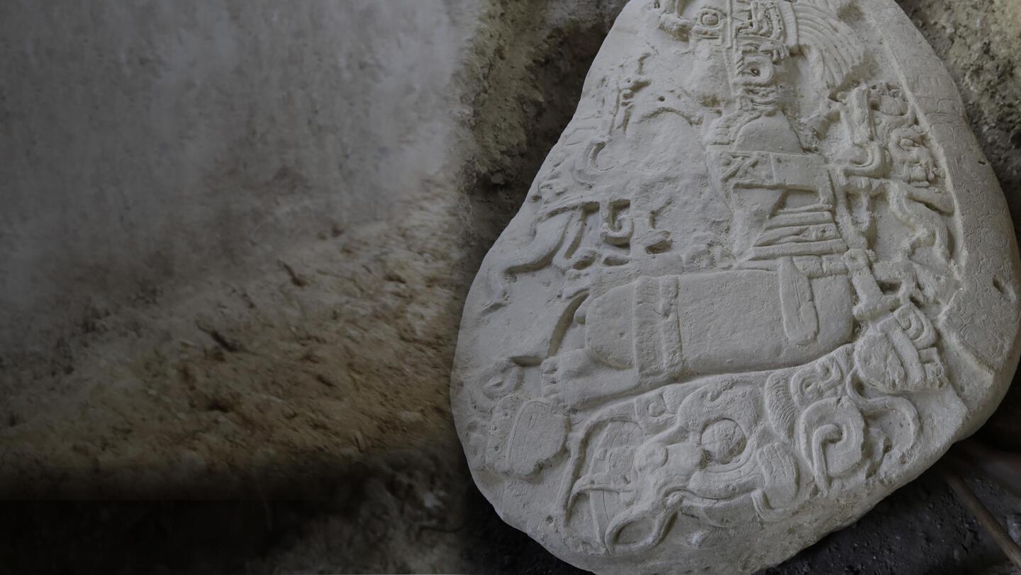 Watch Nat Geo TV Live Stream Online - Nat Geo East Schedule