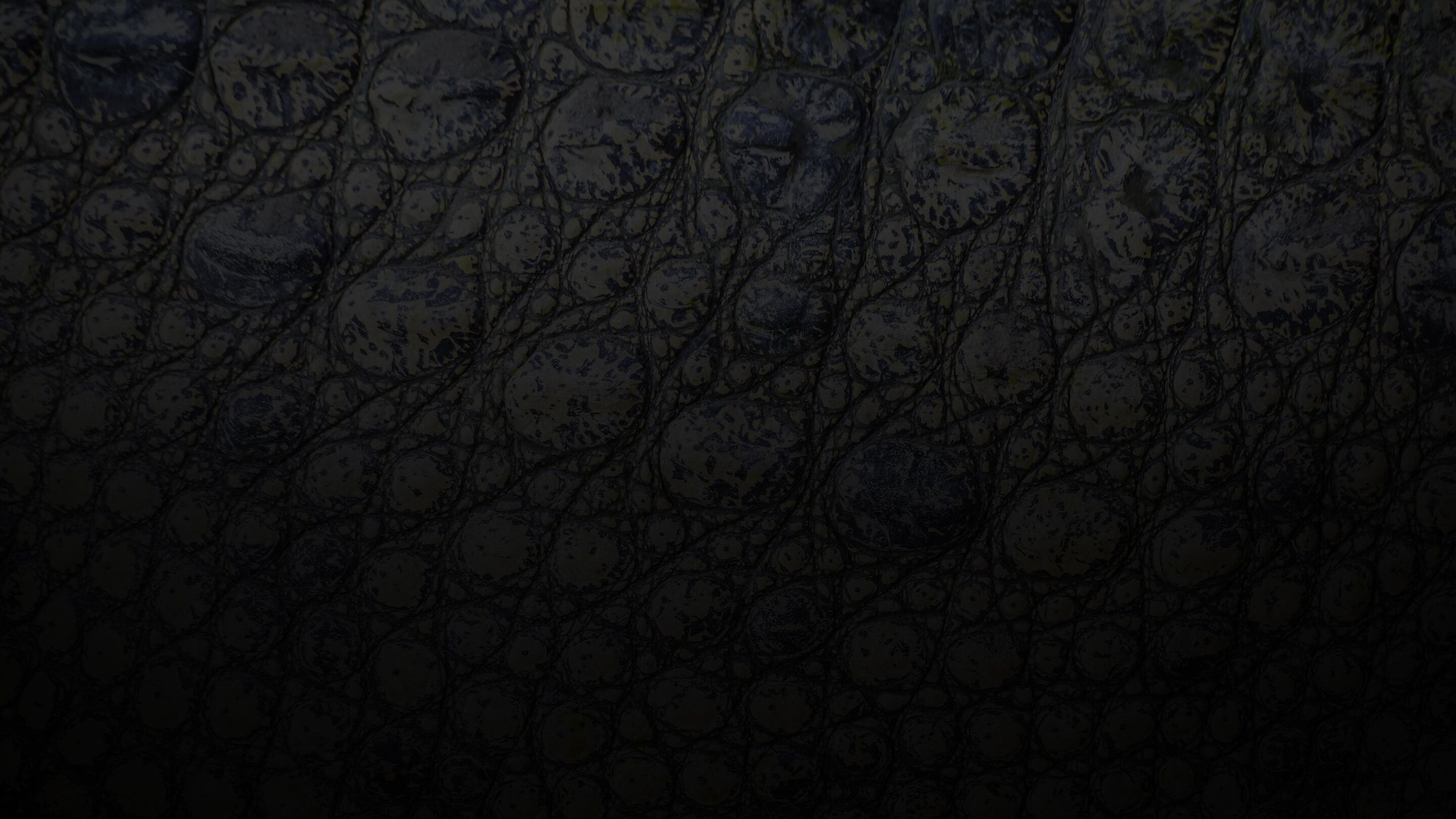 Watch Monster Croc Wrangler TV Show - Streaming Online | Nat Geo TV