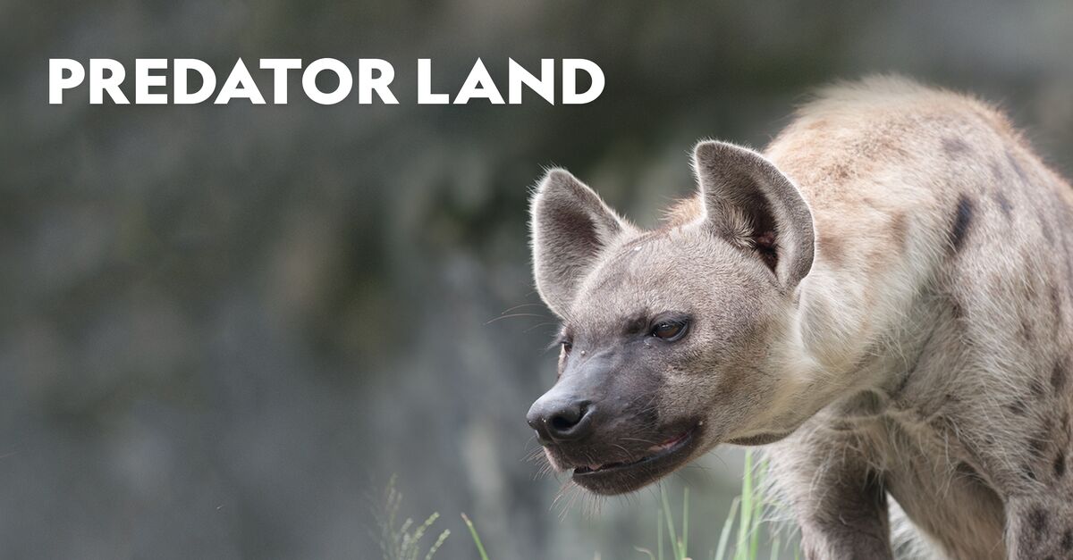 About Predator Land TV Show Series