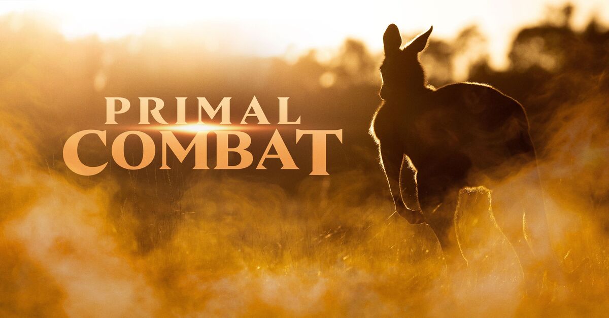 Watch Primal Combat TV Show - Streaming Online | Nat Geo TV