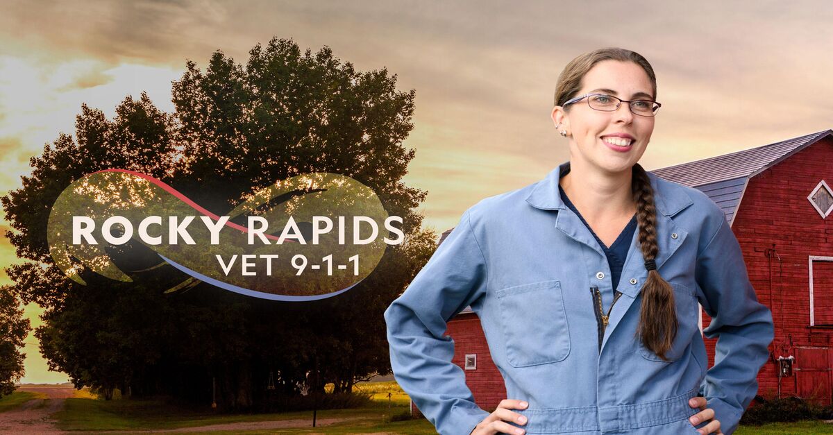 About Rocky Rapids Vet 9-1-1 TV Show Series