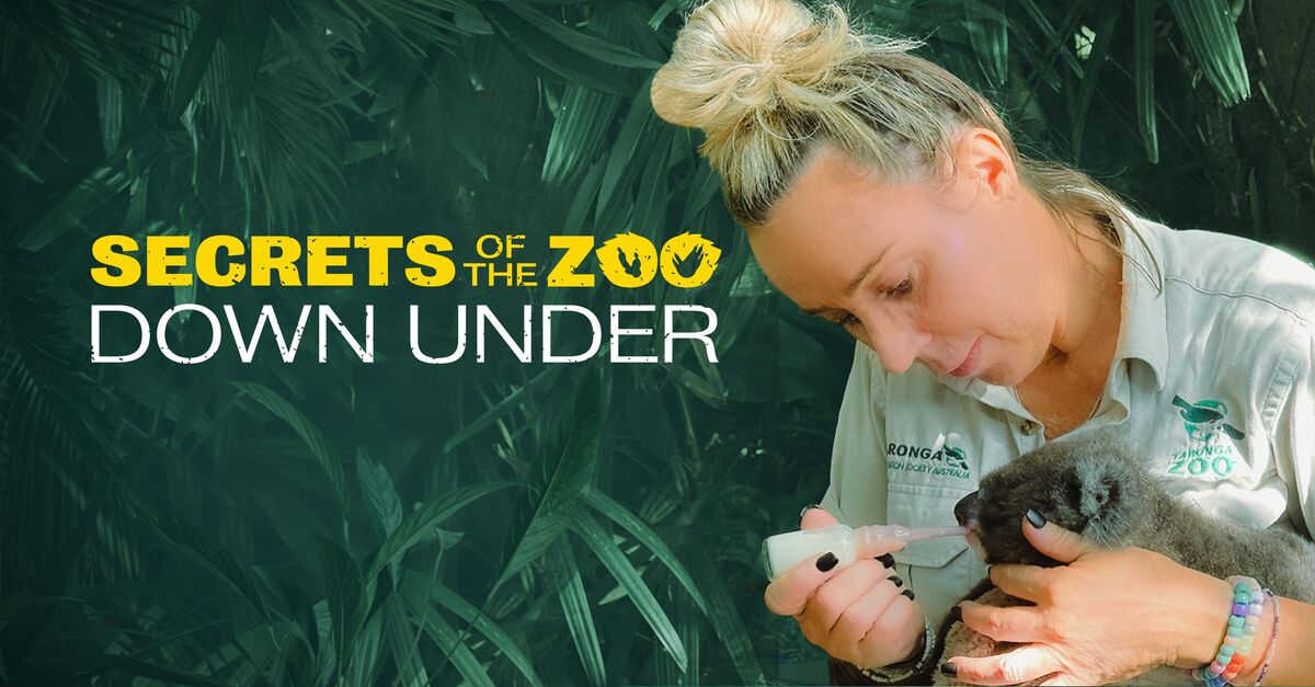 Watch Secrets of the Zoo: Down Under TV Show - Streaming Online | Nat Geo TV