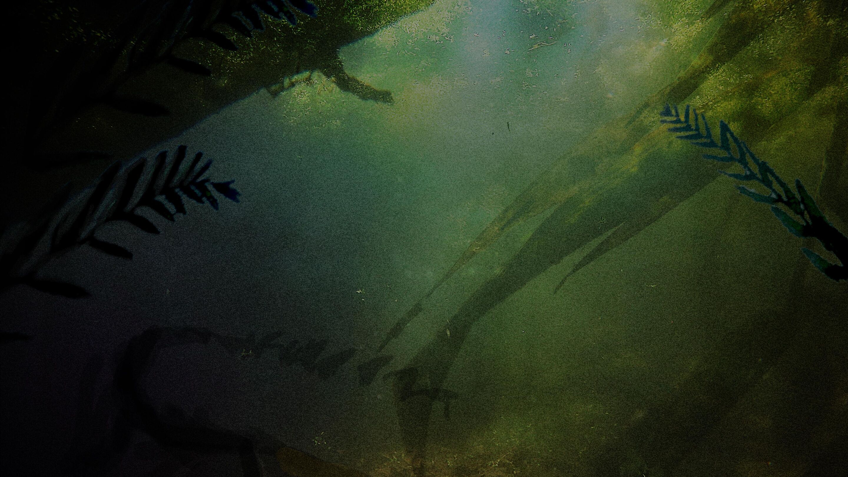 Watch Something Bit Me TV Show - Streaming Online | Nat Geo TV