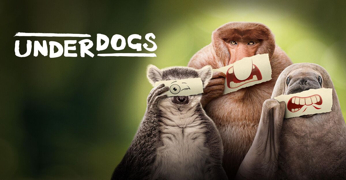 About Underdogs TV Show Series