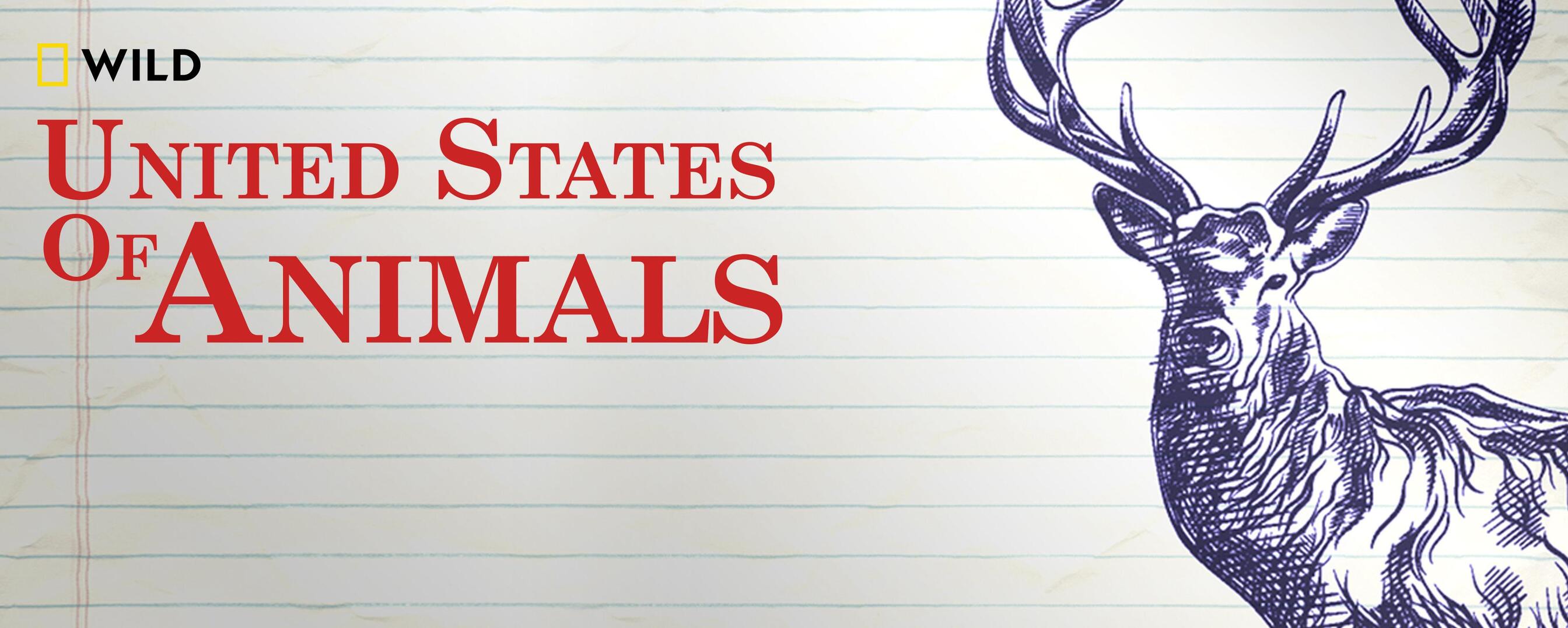 The United States Animals