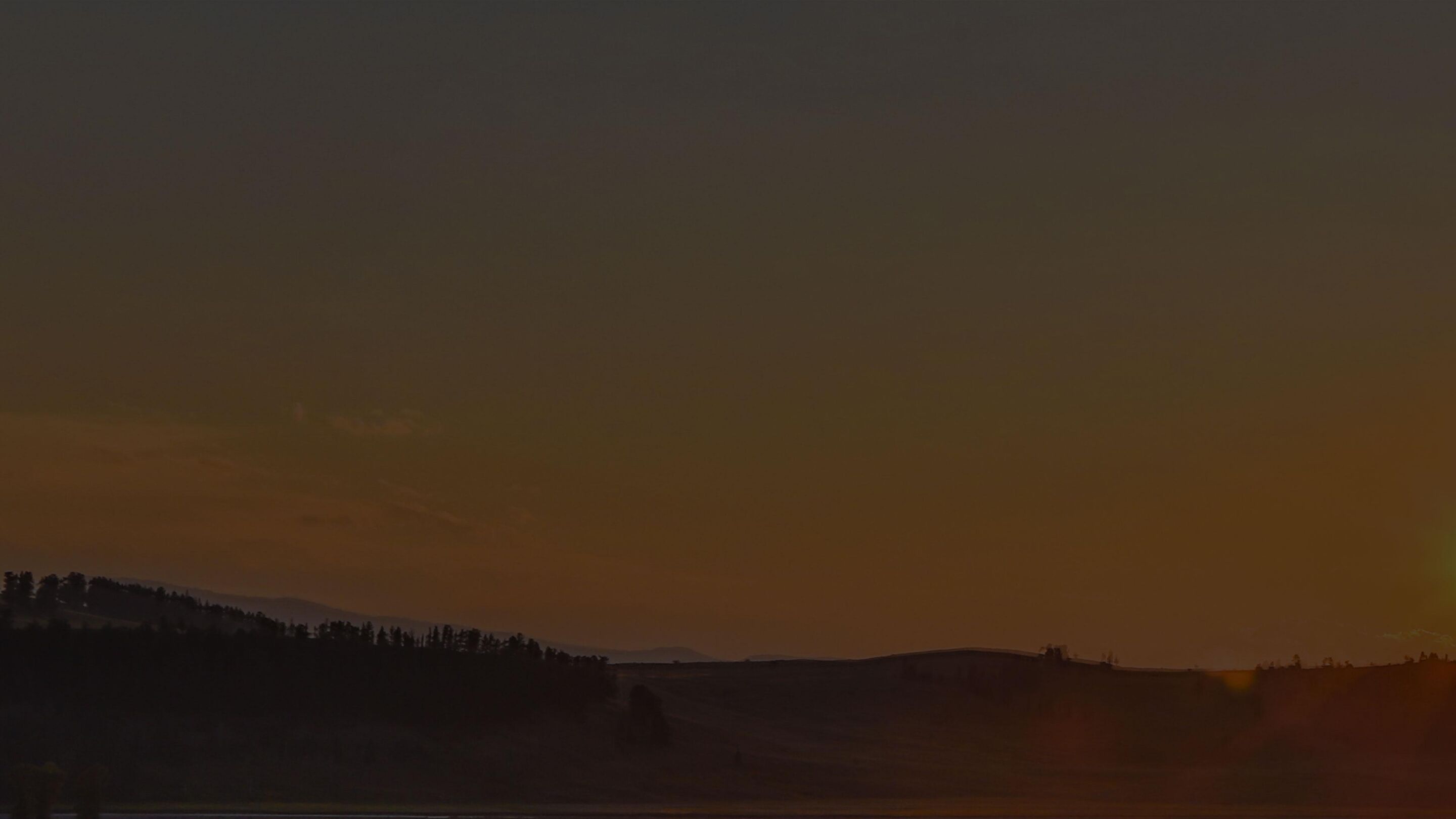 Watch Wild Yellowstone TV Show - Streaming Online | Nat Geo TV