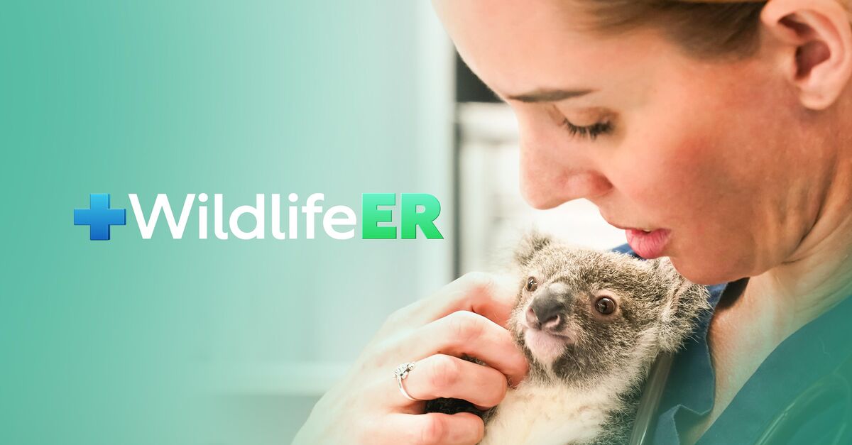 Watch Wildlife ER TV Show - Streaming Online | Nat Geo TV