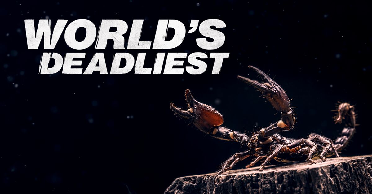 Watch World's Deadliest TV Show - Streaming Online | Nat Geo TV