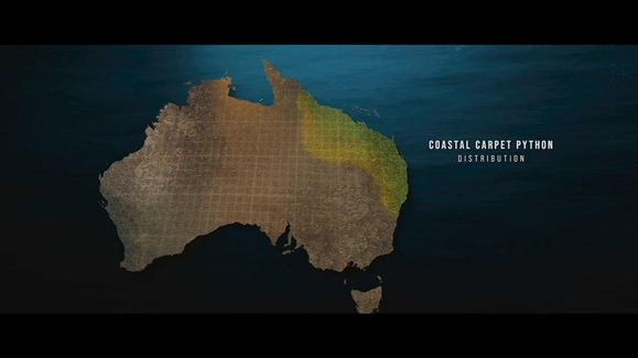 Watch Aussie Snake Wranglers: Deadly Pursuit Season 2 Episode 5 ...