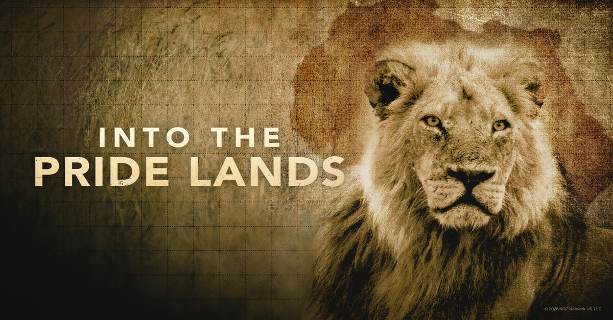 About Into the Pride Lands TV Show Series