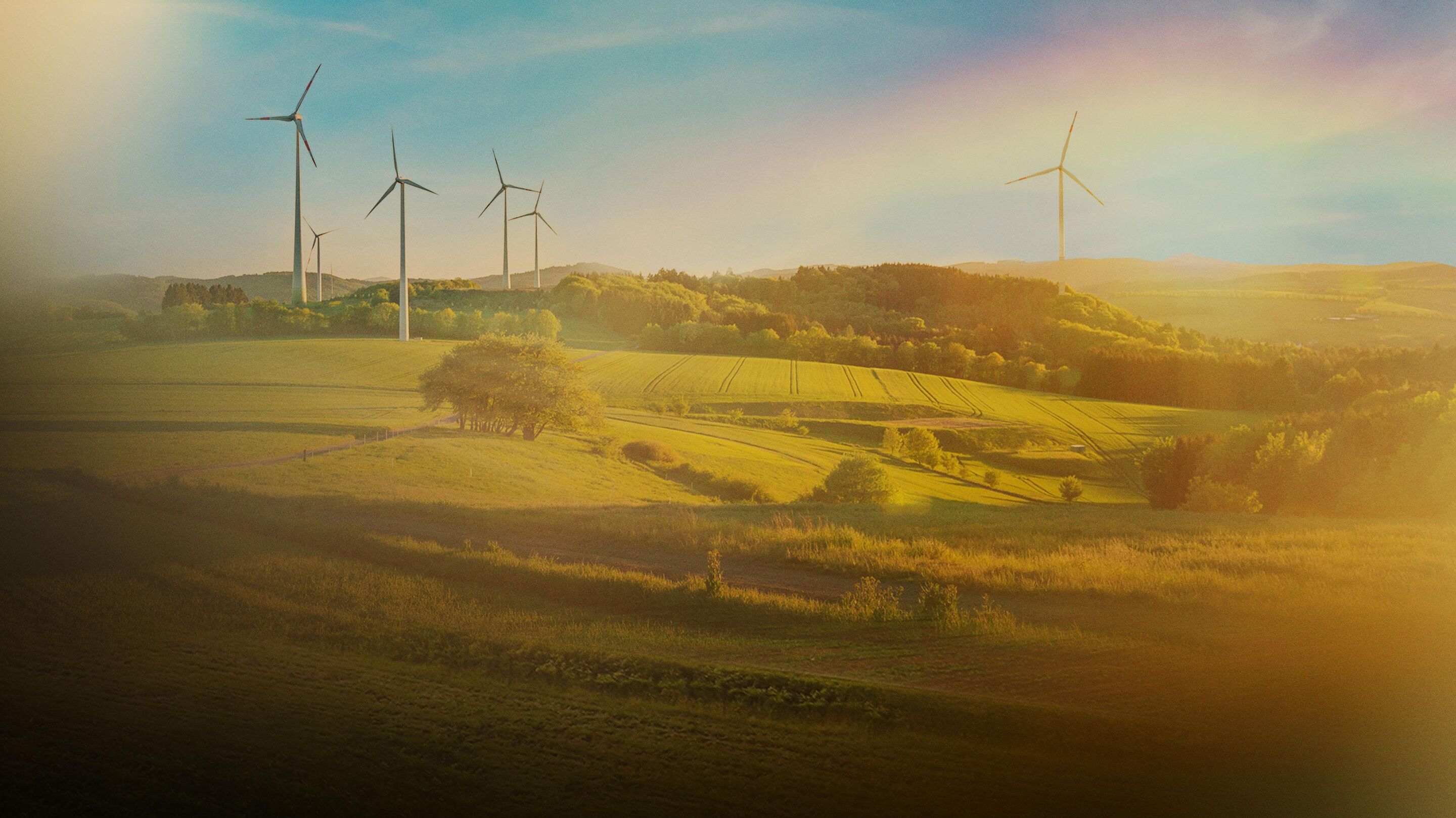 About The Incredible Pol Farm TV Show Series