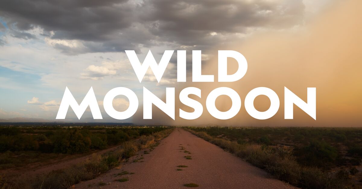Watch Wild Monsoon TV Show - Streaming Online | Nat Geo TV
