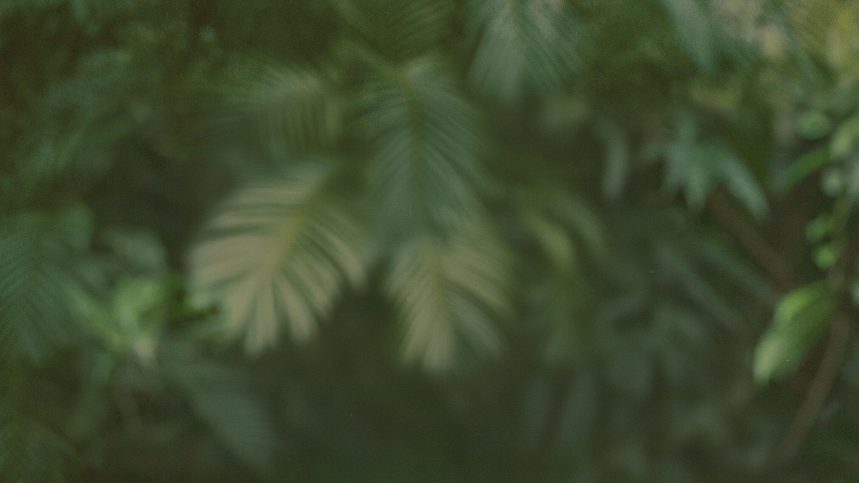 About Wild Vietnam TV Show Series